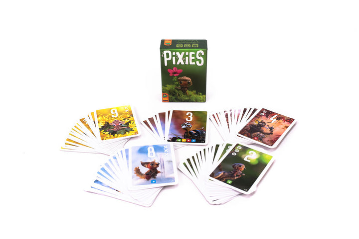 Shop – Pandasaurus Games